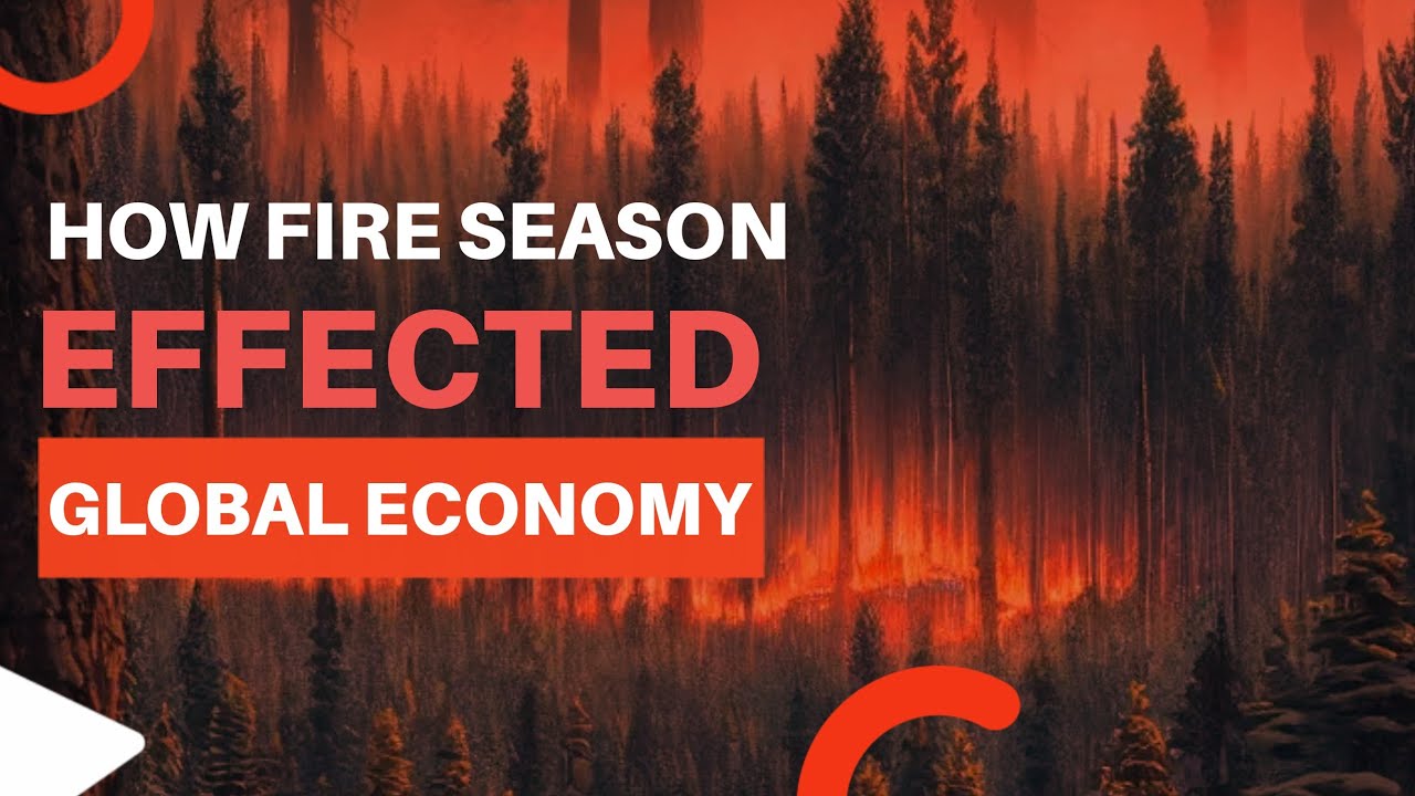 How Fire Season Affected The economy? - YouTube