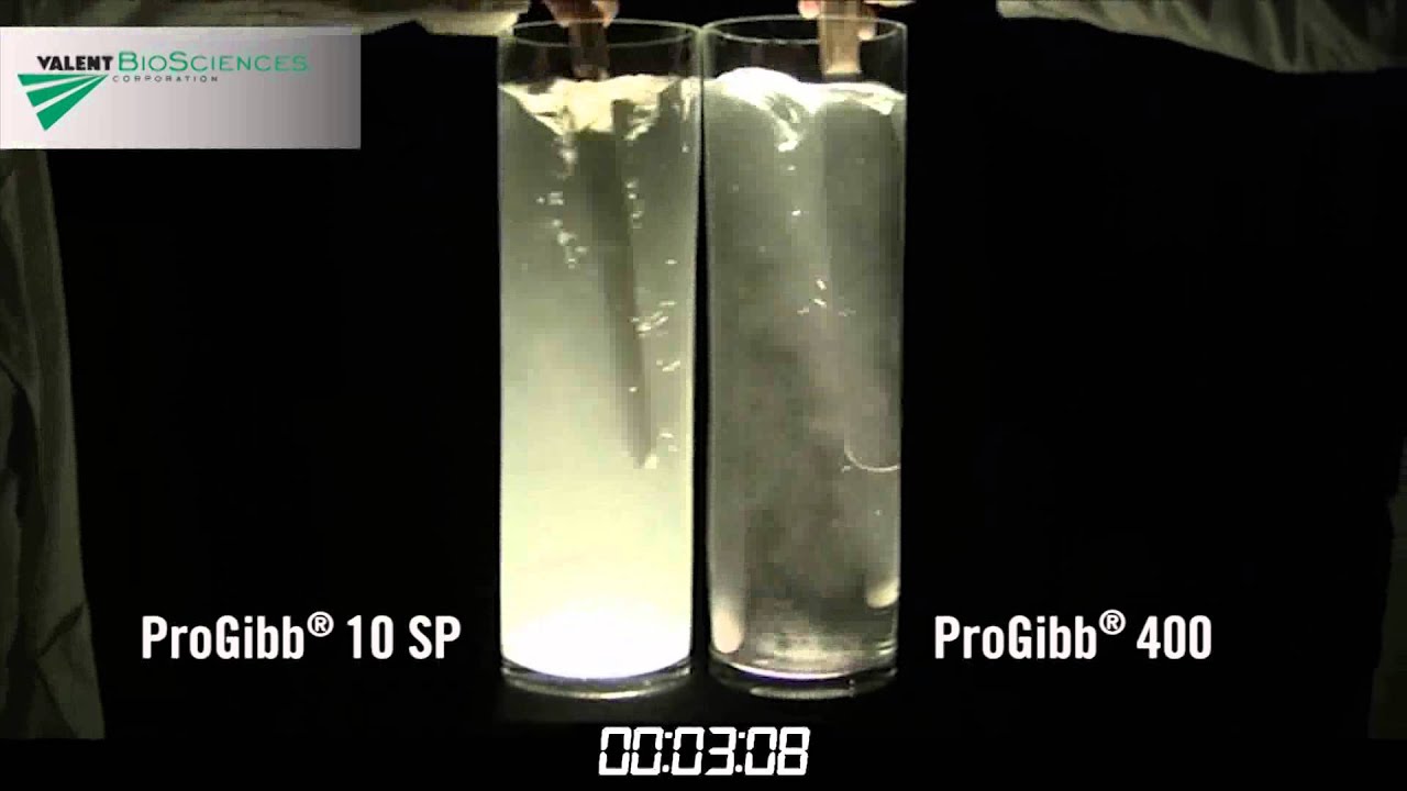 ProGibb® 10 SP Solubility - YouTube