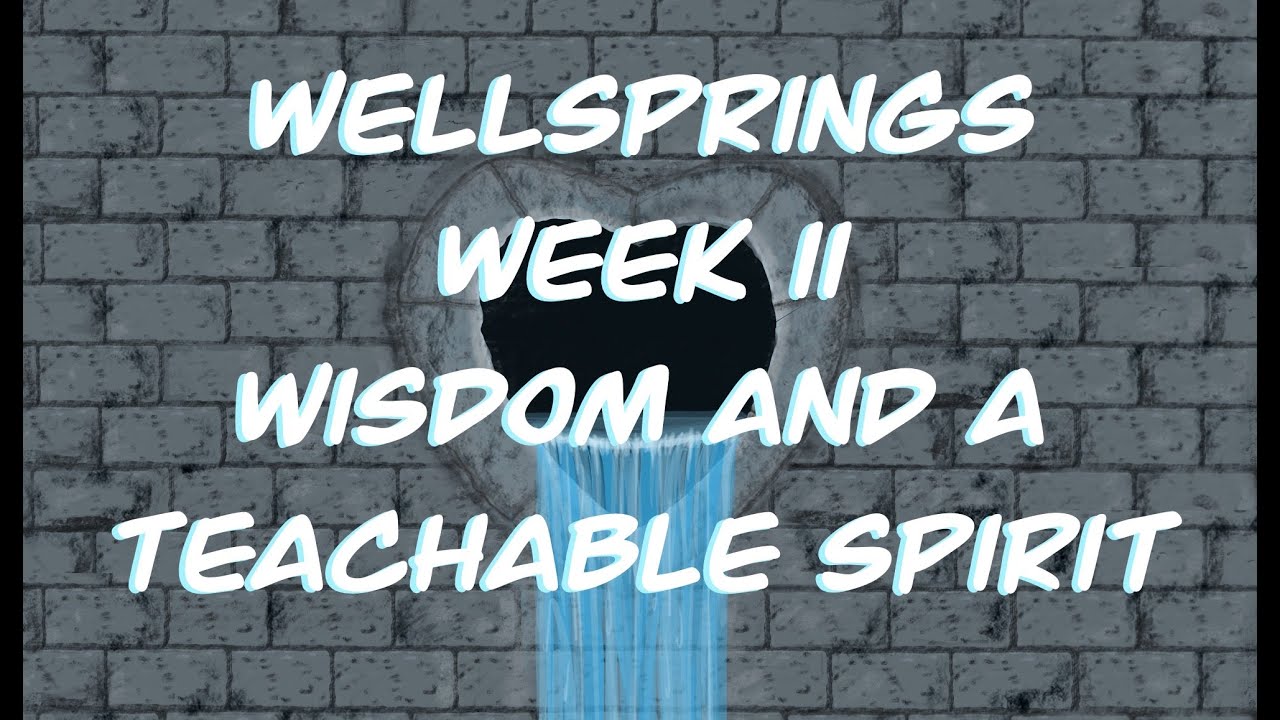 Wellspring 11, Wisdom and a Teachable Spirit - YouTube