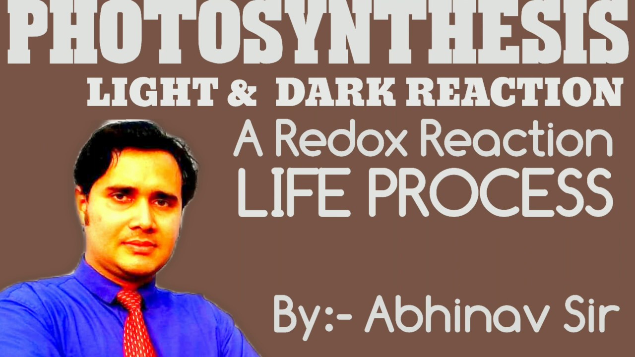 Photosynthesis - A Redox Reaction ¦LIGHT & DARK REACTION |Class 10th ...