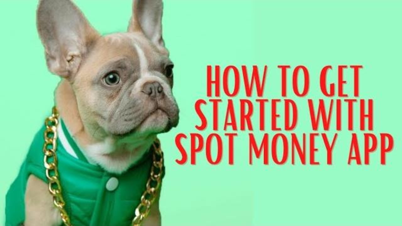 How to use Spot Money App - YouTube