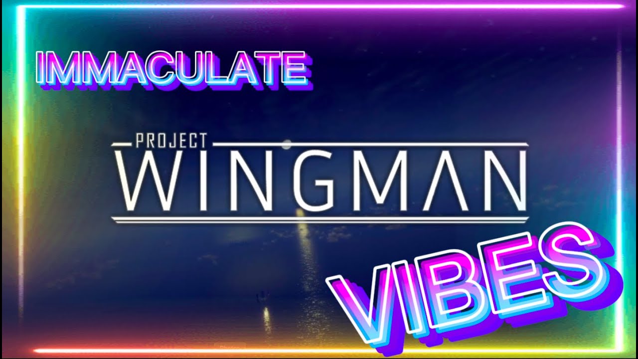 Immaculate Plane Vibes - Project Wingman - Born of a Star - YouTube