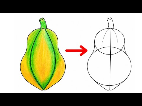 পেঁপে আঁকা | পেপে আকা | How to Draw Papa Fruit | Pepe Drawing | Fruit ...