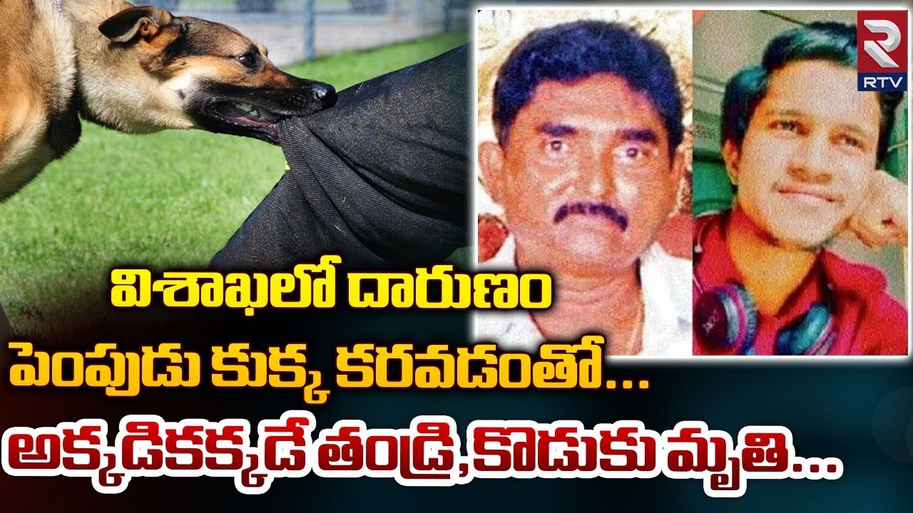 పెంపుడు కుక్క కరువడంతో.. అక్కడికక్కడే...| Vizag Pet dog incident ...