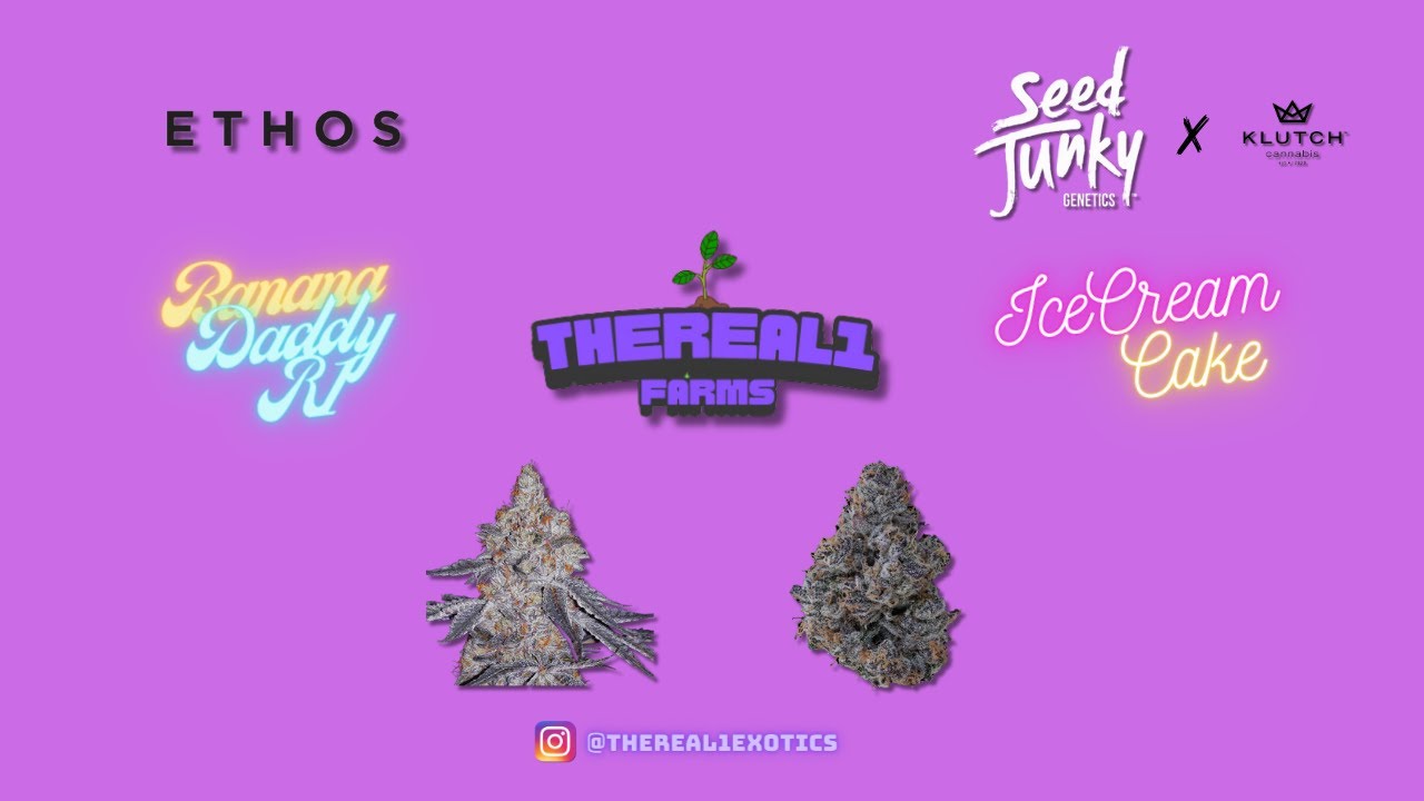 TheReal1Farms Episode 6 : Week 5 Veg Correcting Cal-Mag Deficiency 4K ...