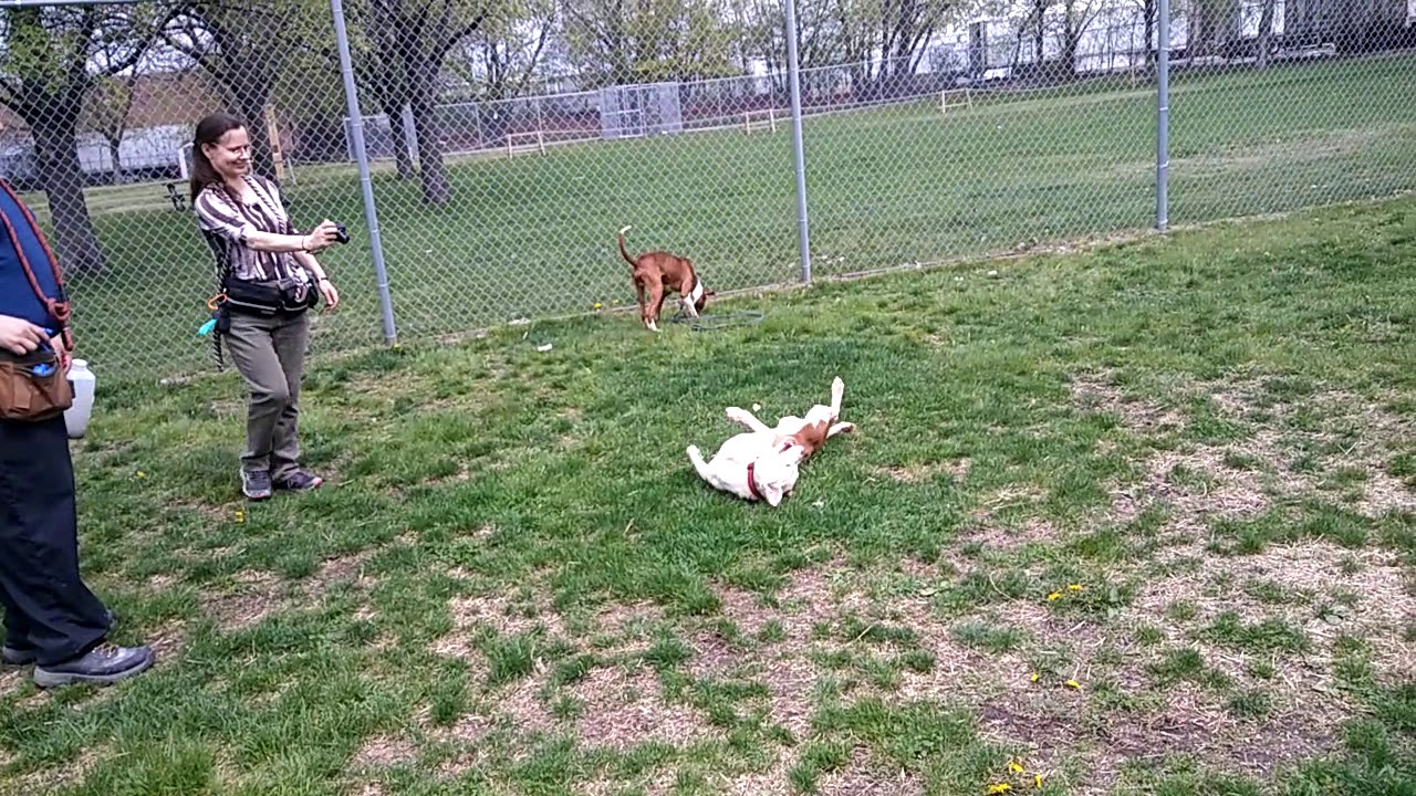 Captain Crunch + Jazzie + Alma + Gunther - YouTube