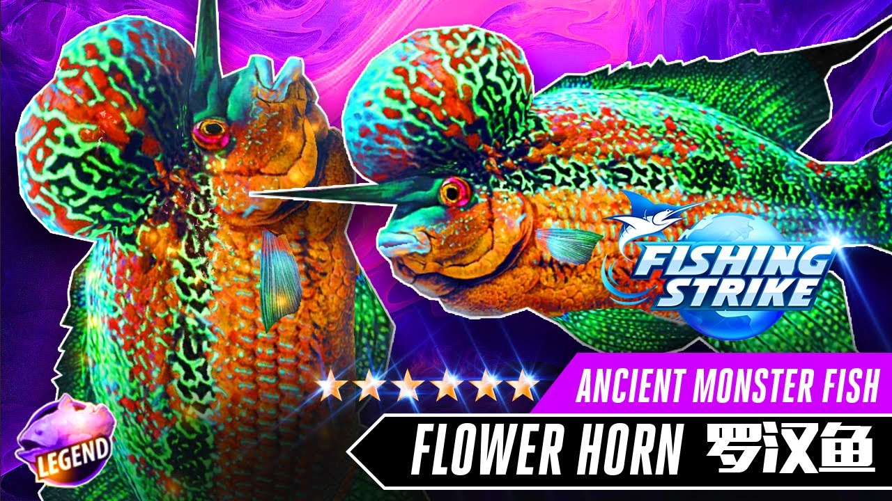 LEGENDARY FLOWER HORN luohan FISH 罗汉鱼 - ANCIENT MONSTER FISH CATCH【釣魚大亨 ...