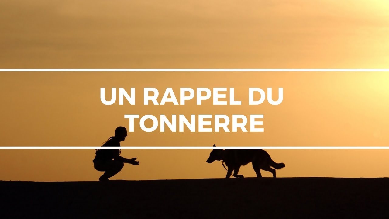 Apprendre le rappel - YouTube