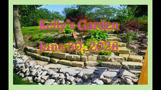 Kelly's Garden, June 30, 2026 #garden #gardening #flowers #plants #family
