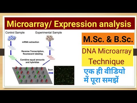 Microarray, microarray technique, Expression analysis, DNA Microarray, M.Sc. & B.Sc. - YouTube
