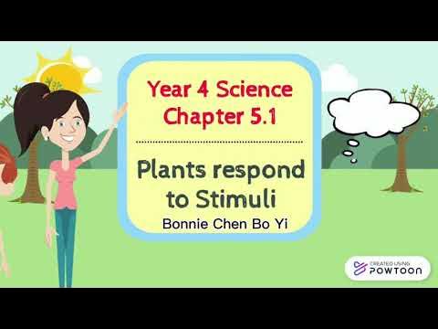 Year 4 Chapter 5.1 Plants Respond to Stimuli - YouTube