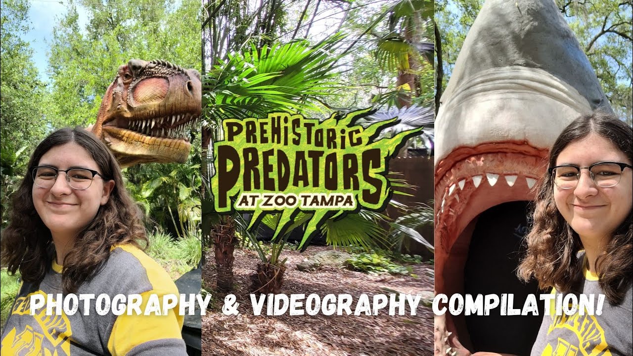 Prehistoric Predators at ZooTampa! | A Lowry Park Compilation - YouTube