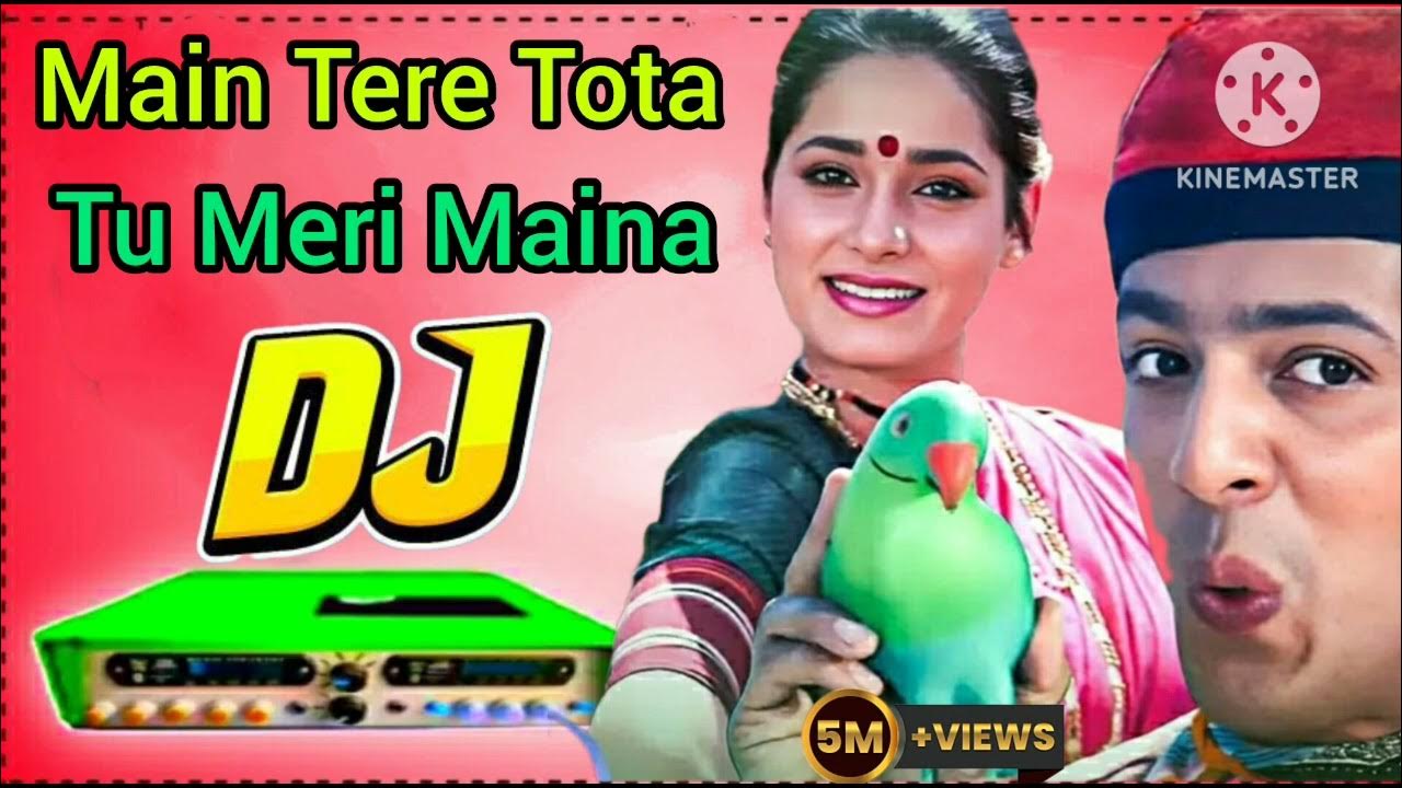 Main Tere Tota_Tu Meri Maina (2024) Hindi Dj Song | Old Matal dance song 🎶 - YouTube