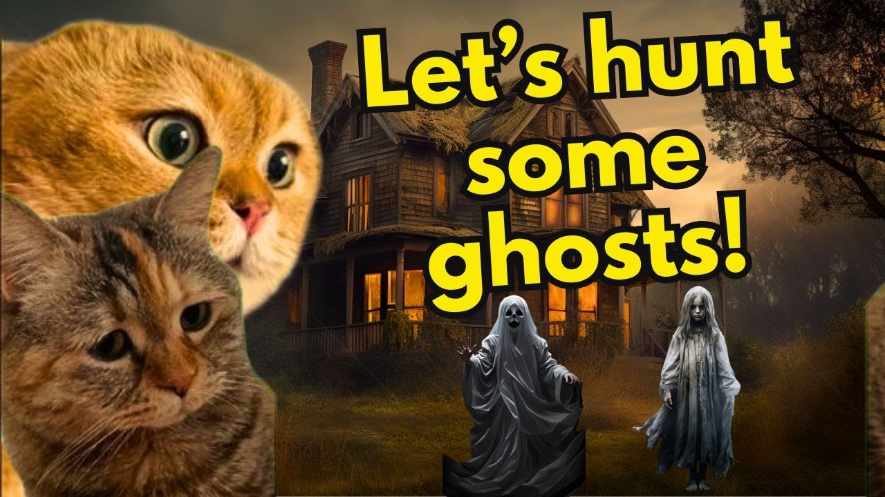 Two cats try ghost hunting in a haunted house - YouTube