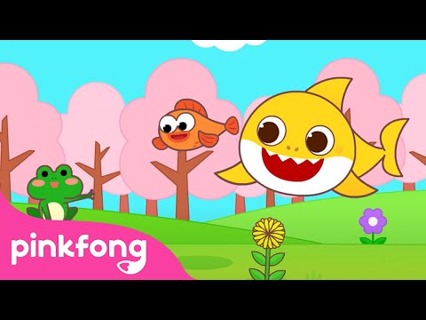 Hello, Spring is Here 🌸 | Spring Season | Weather for Kids | Spring Songs | Pinkfong Baby Shark