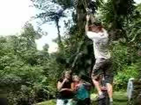 Jungle vine swing over cliff - YouTube