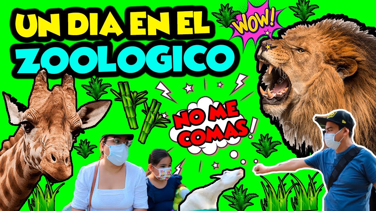 Un día con Los Duran - YouTube