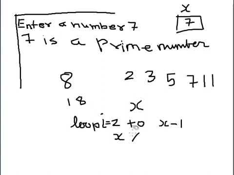 038 Program to check whether a number is Prime or not in C - YouTube