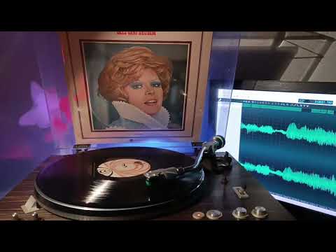 Neşe Karaböcek Köle Plak