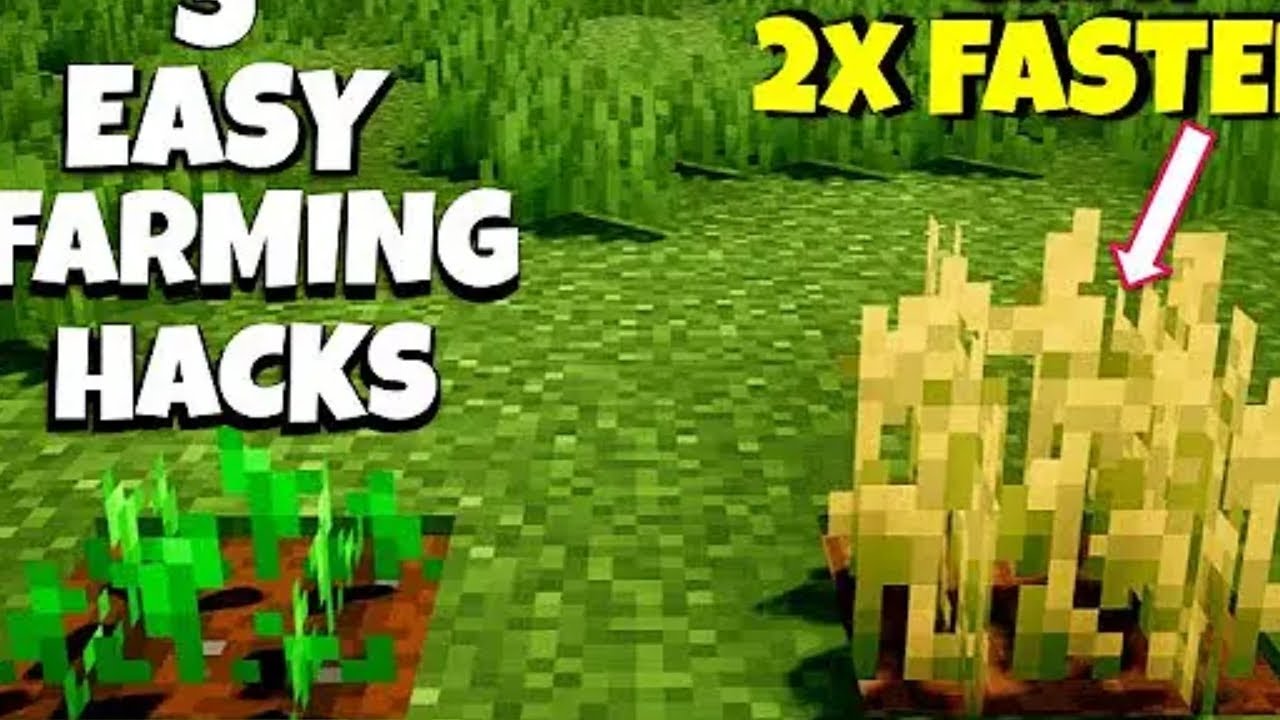 NEW Ultimate Minecraft Farming Guide 1.21 l How To Farm Every Crop in ...