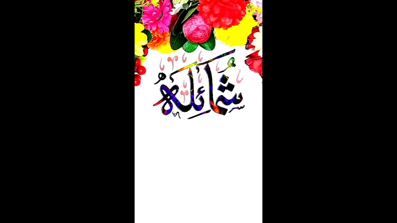 SHUMAILA Name Status Calligraphy ║ شمائلہ نام ║ #shorts #art #nameart ...
