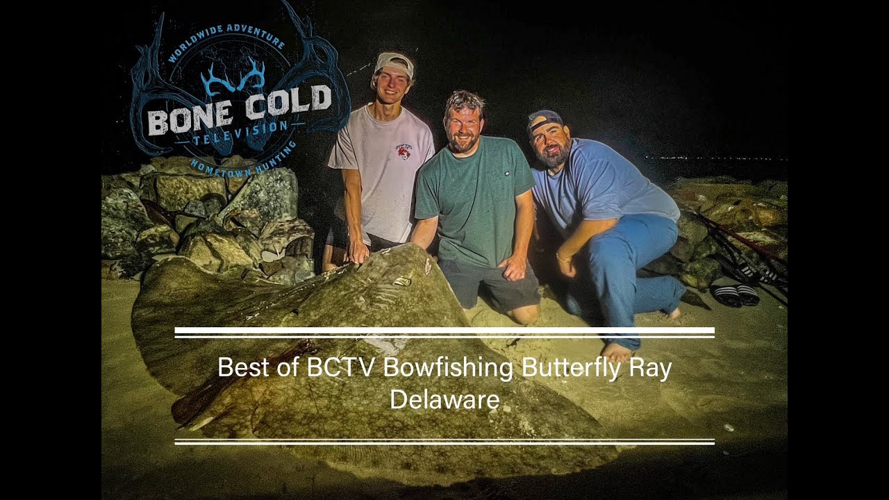 Best of Bone Cold TV 200 pound Delaware stingray bow fishing! Butterfly ...