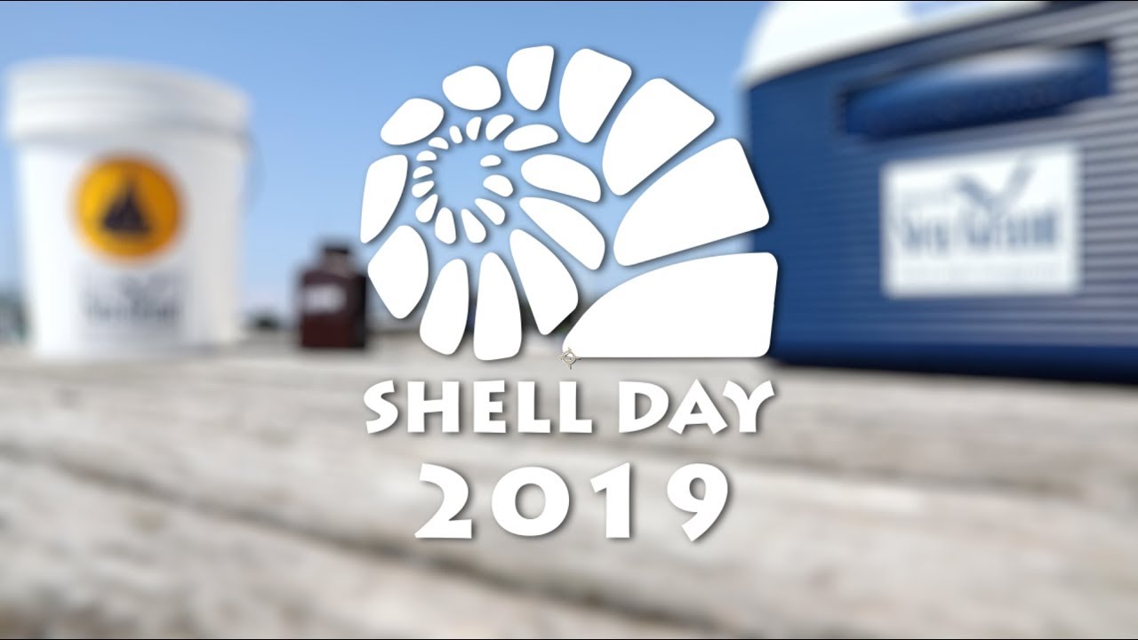 How to collect your water sample for Shell Day 2019 - YouTube