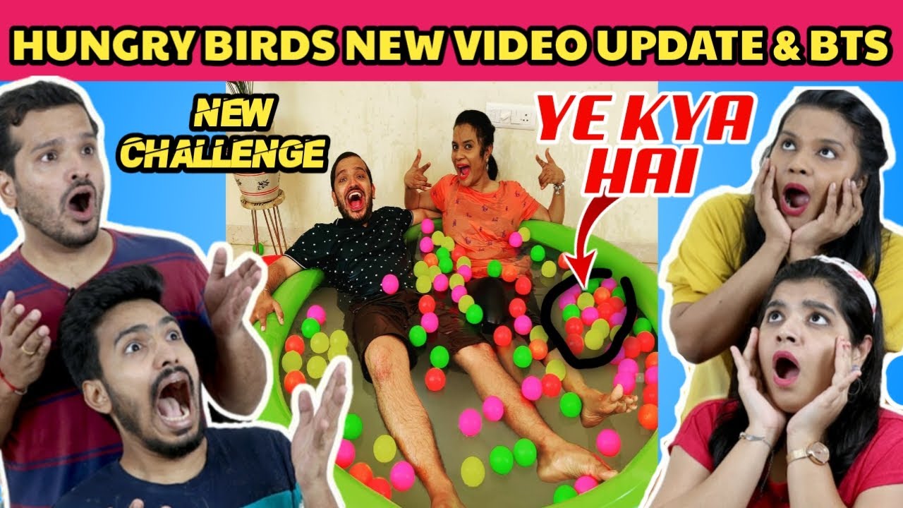 Hungry birds new challenge video update | Hungry birds swimming pool ...