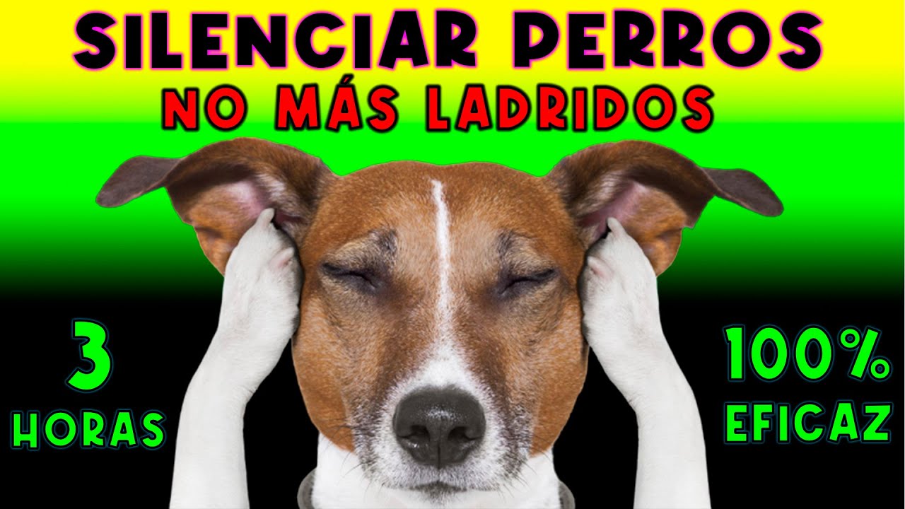 SONIDO REPELENTE DE PERROS ULTRASONICO - AHUYENTA Y CALLA PERROS ...