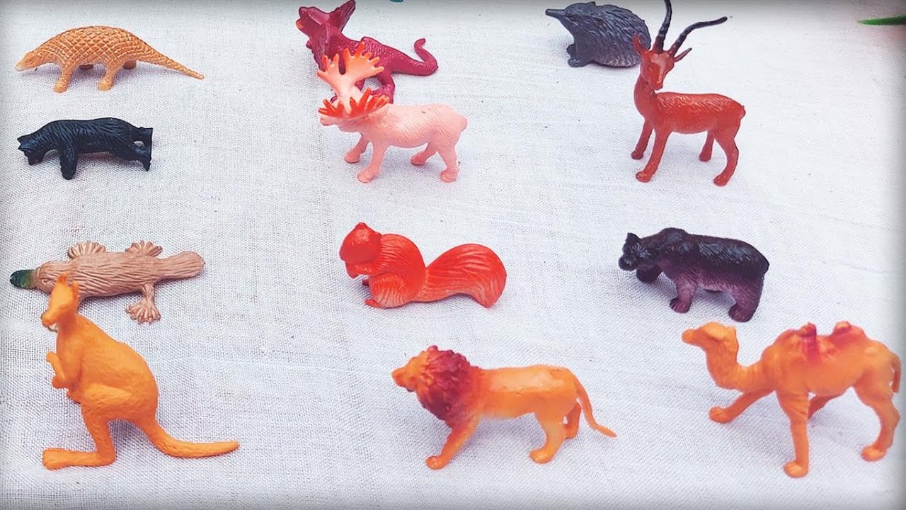 Animal Wala Video Gorilla, Hippo, Horse, Koala, Owl, शेर, बाघ, हाथी ...