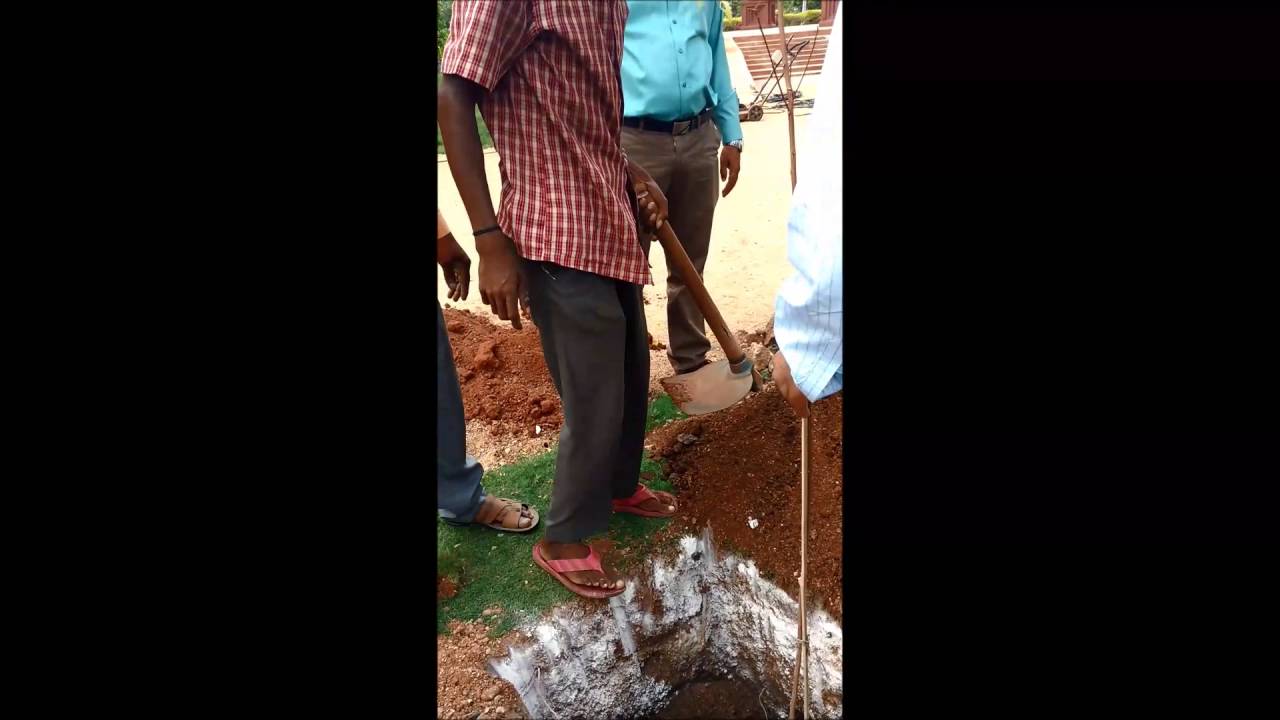 Procedure of planting a Seedling - YouTube