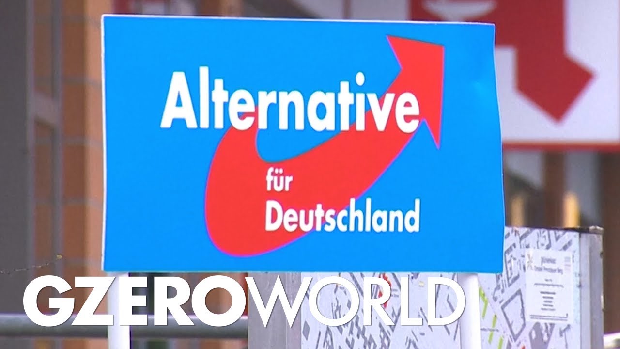 Where Did the Alternative for Germany Party Come From? - YouTube