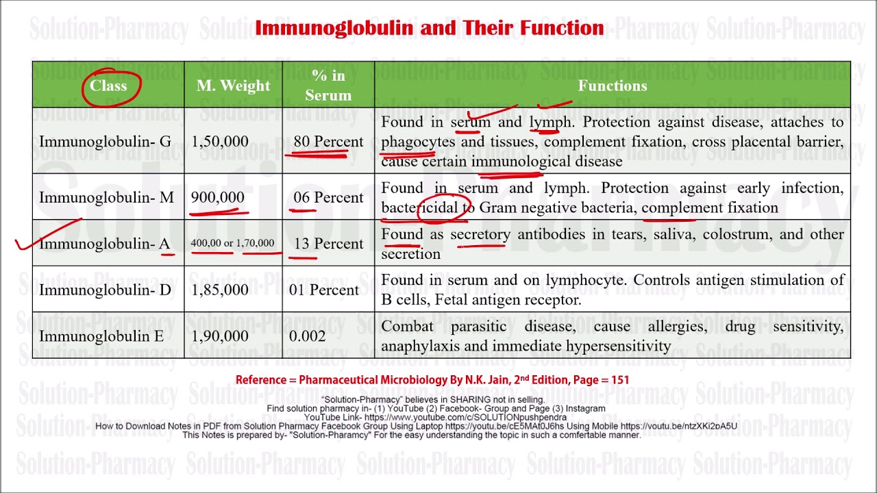 Types of Immunoglobulin with Their Respective Function | Immunoglobulin ...