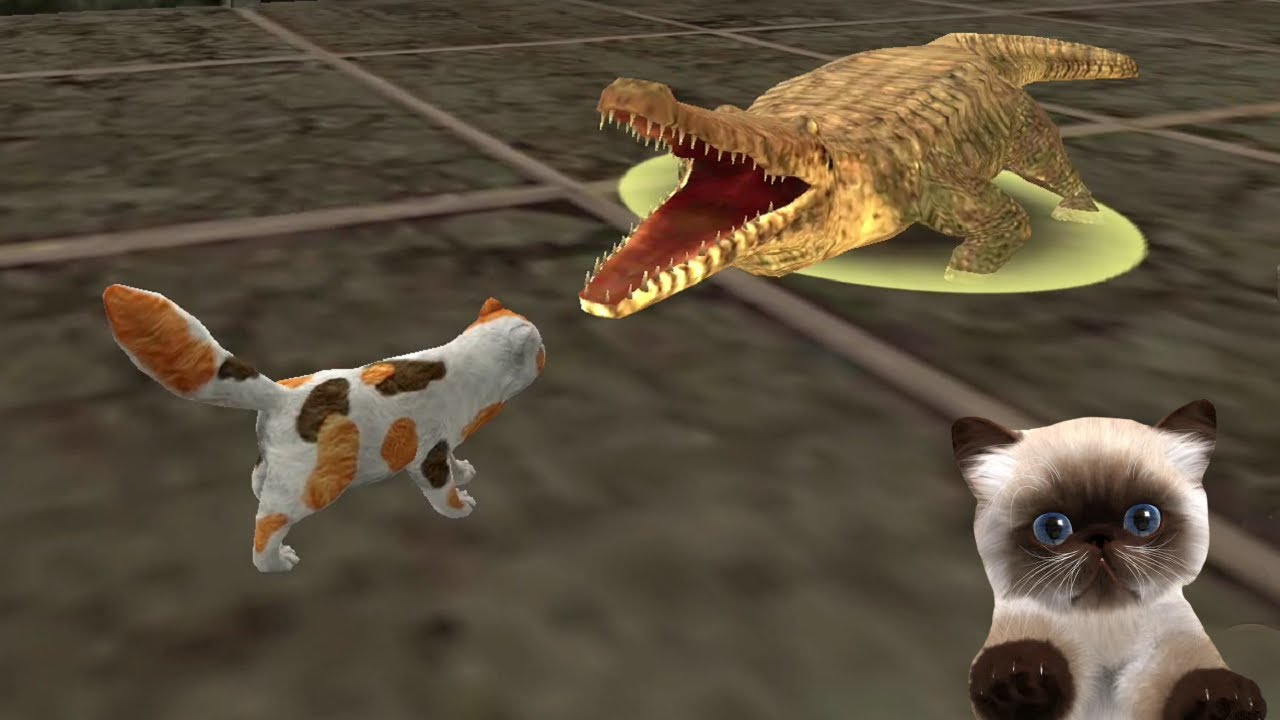 Cat Sim Online: Play with Cats - Boss Battles - Gameplay Episode 19 ...