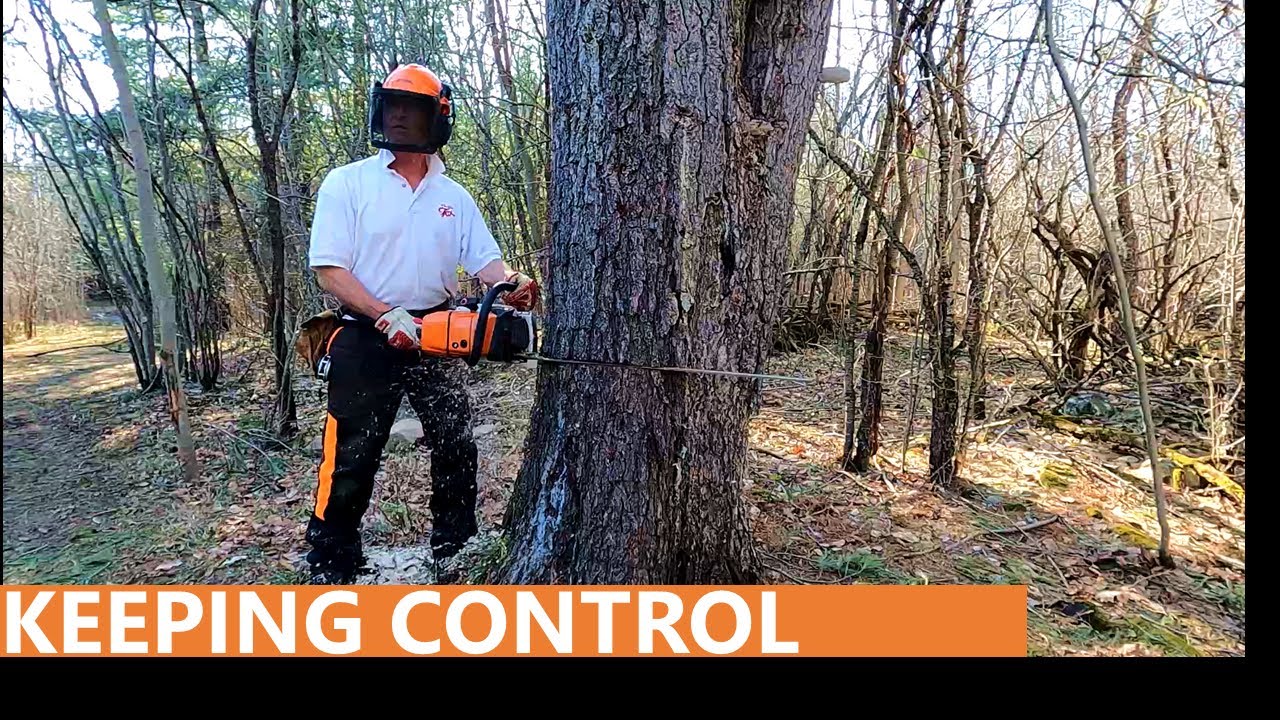 88 - Dropping A Nasty Big Tree And Keeping Control - YouTube