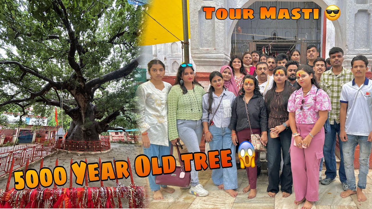 5000 Years Old Tree 😱 || World’s Most Oldest Trees - YouTube