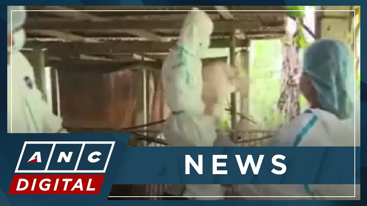 PH Agriculture Department aims to roll out ASF vaccines outside ...