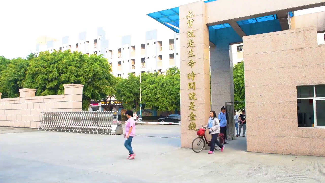 SEIKAKU TECHNICAL GROUP Company Introduction - English - YouTube