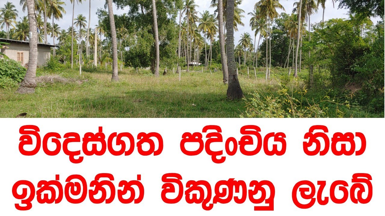 විදෙස්ගත පදිංචිය නිසා ඉක්මනින් විකිණේ | real estate | land for sale ...