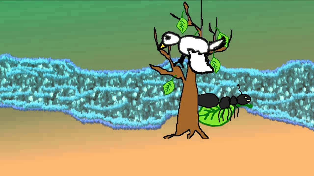 The Ant and The Dove - Aesops Fables - YouTube