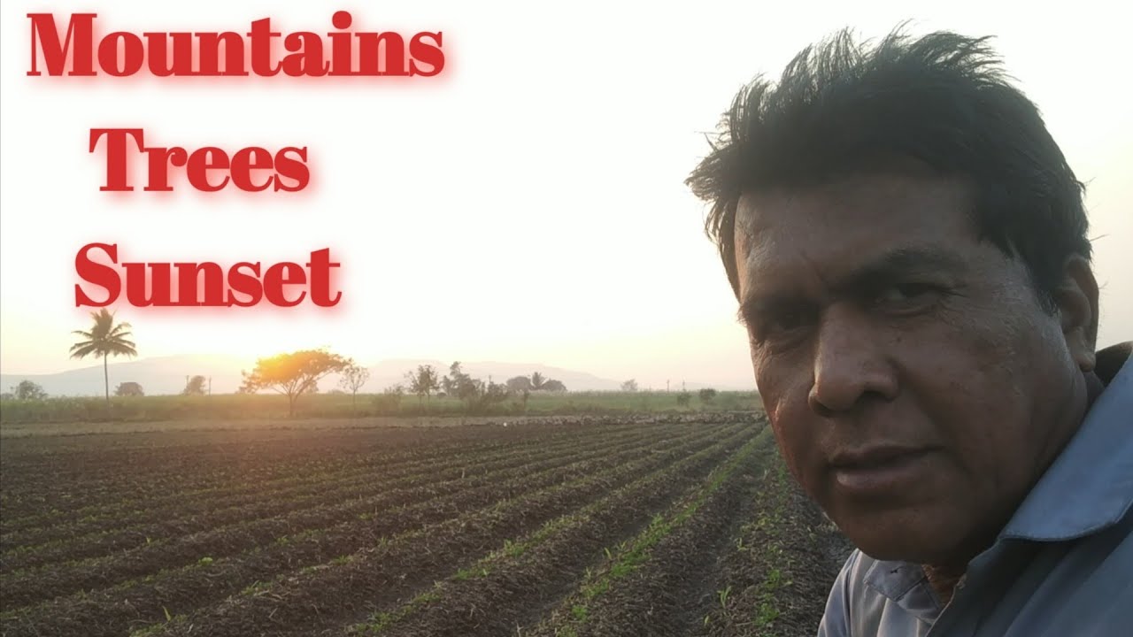 Mountains, Trees And Sunset | Beautiful Farms | Evening Time | Milind ...