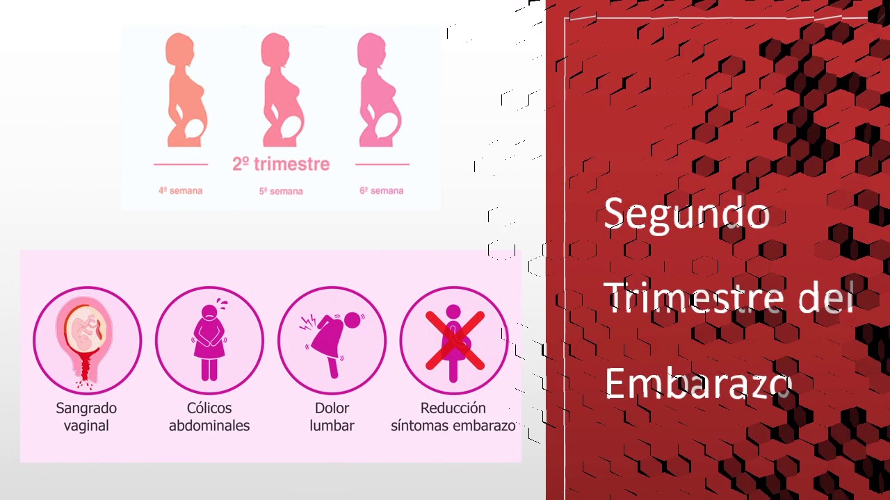 Ejercicios En El Primer Trimestre De Embarazo Youtube Ejercicios En El Primer Trimestre De Embarazo Youtube