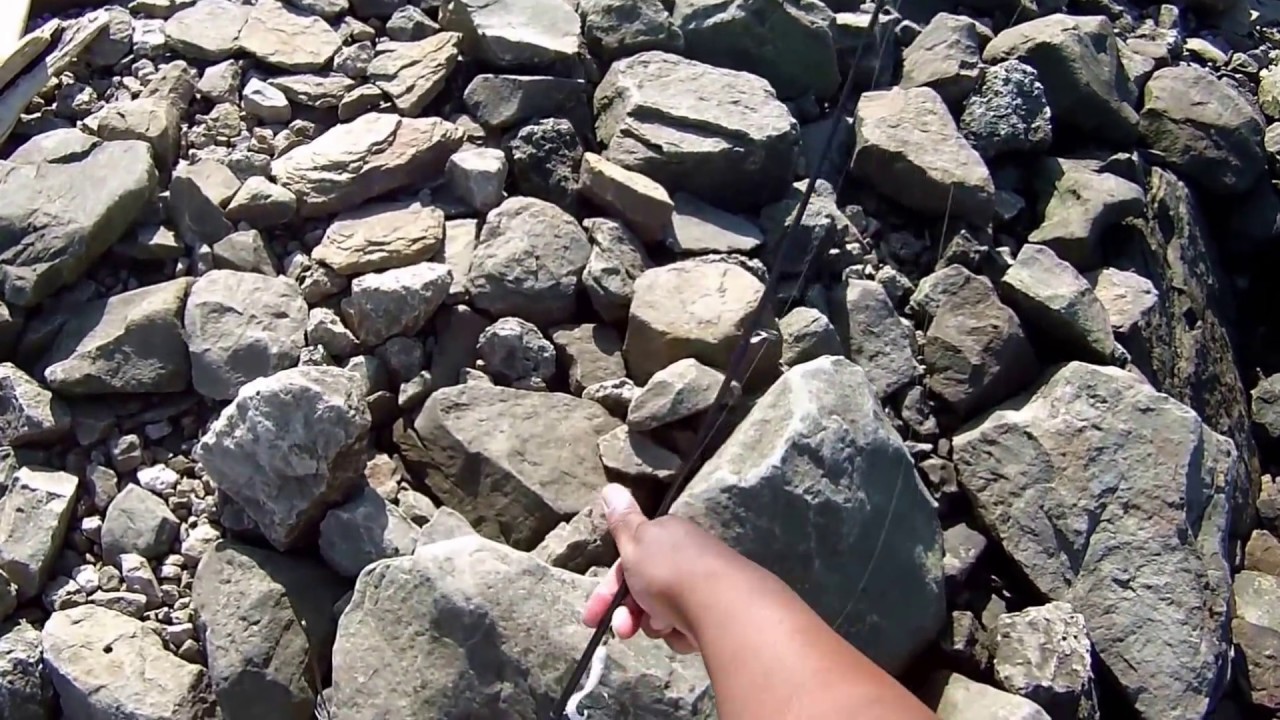 Spring High Water Hybrids - YouTube