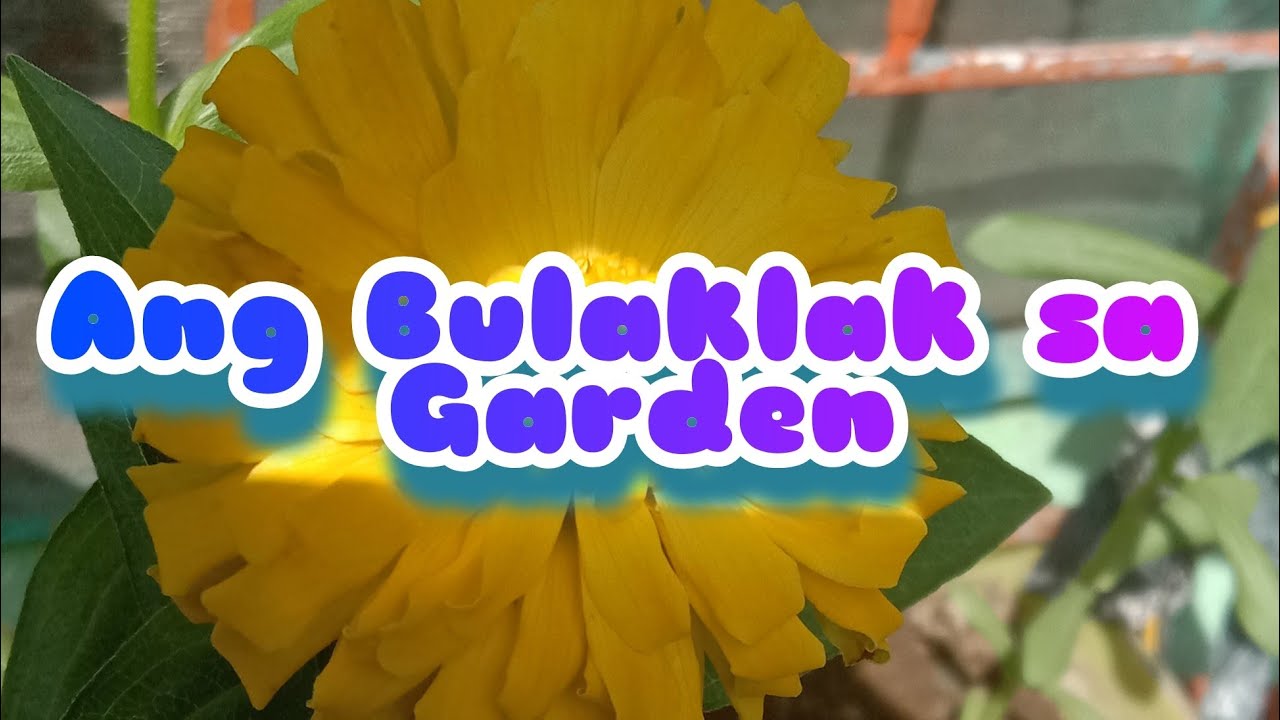 Bulaklak sa Garden - YouTube