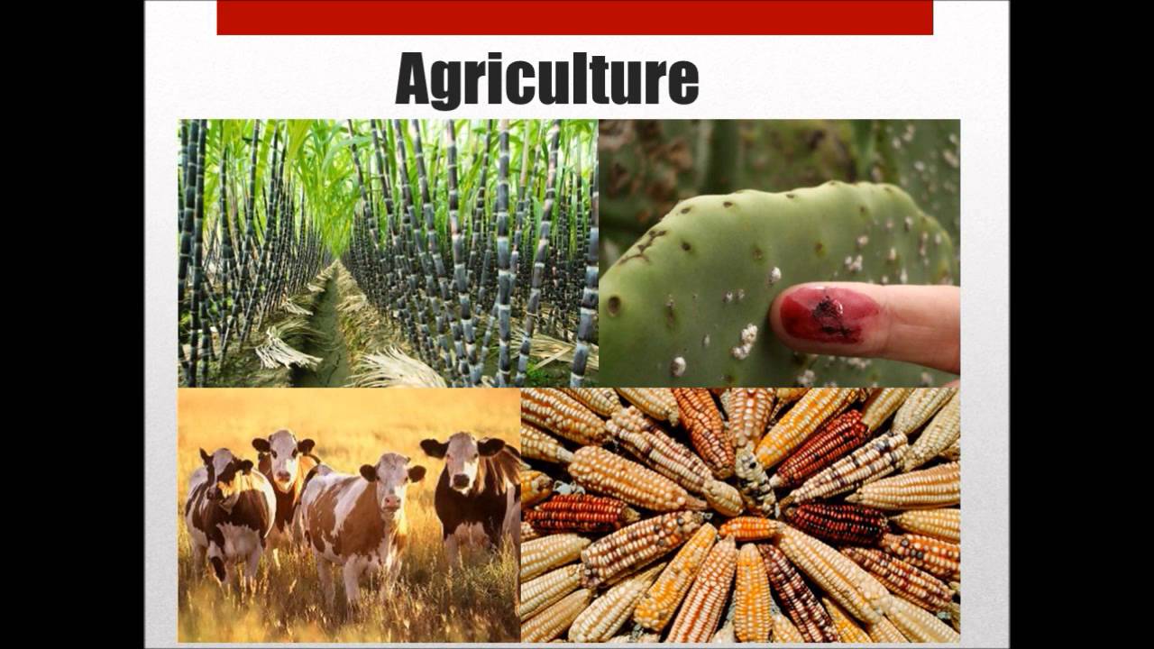 Spanish Colonial Systems of Exploitation - YouTube