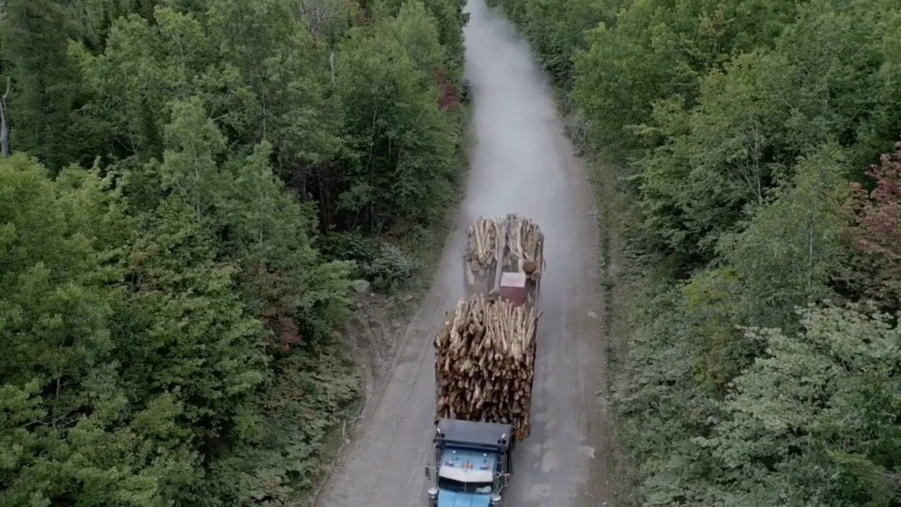 DRONE FOOTAGE OF LOGGING TRUCKS | NORTH MAINE WOODS - YouTube