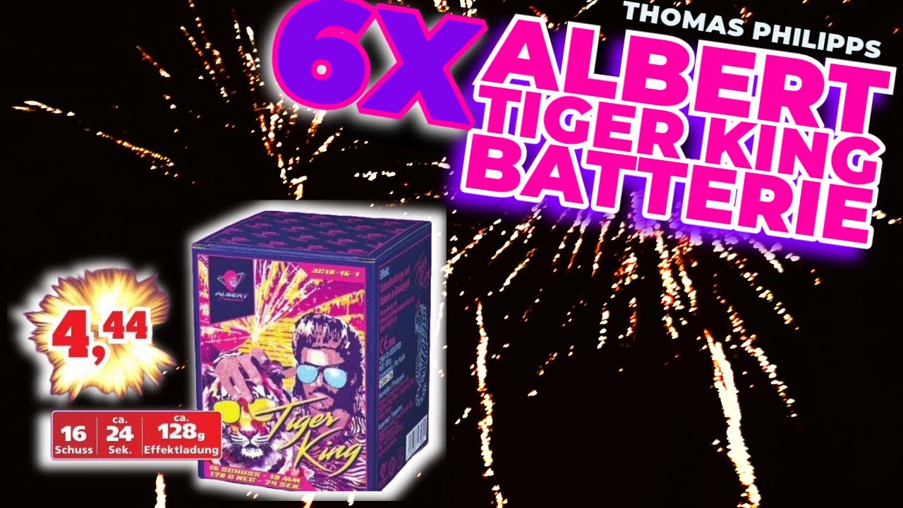 6x ALBERT TIGER KING BATTEIE (Thomas Philipps) - FEUERWERK ACTION - YouTube