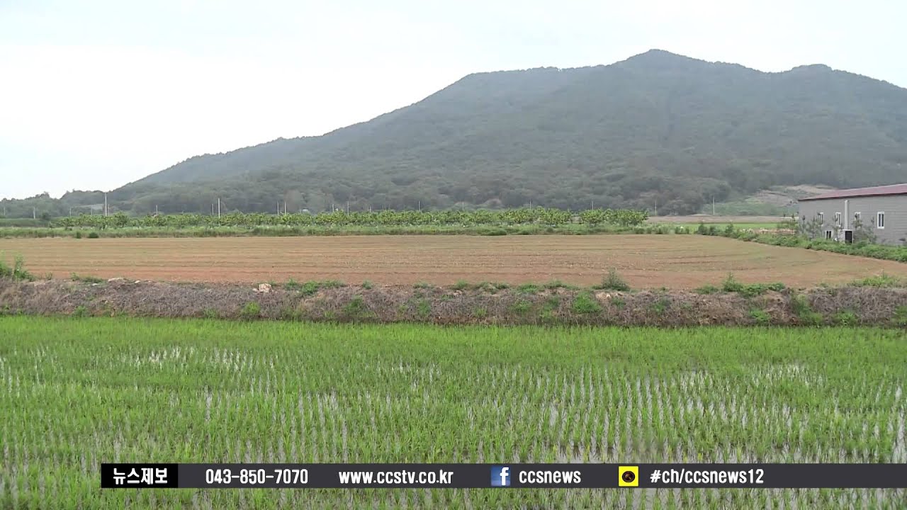 음성군 가축분뇨처리시설 주민 감정 골 깊어 Ccs충북방송 Youtube