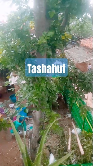 Tabiyat - YouTube