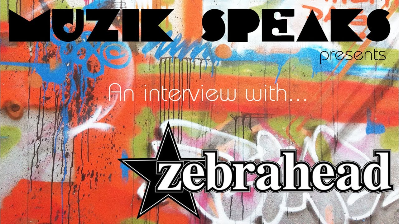 Muzik Speaks: An Interview with Ali Tabatabaee from Zebrahead - YouTube